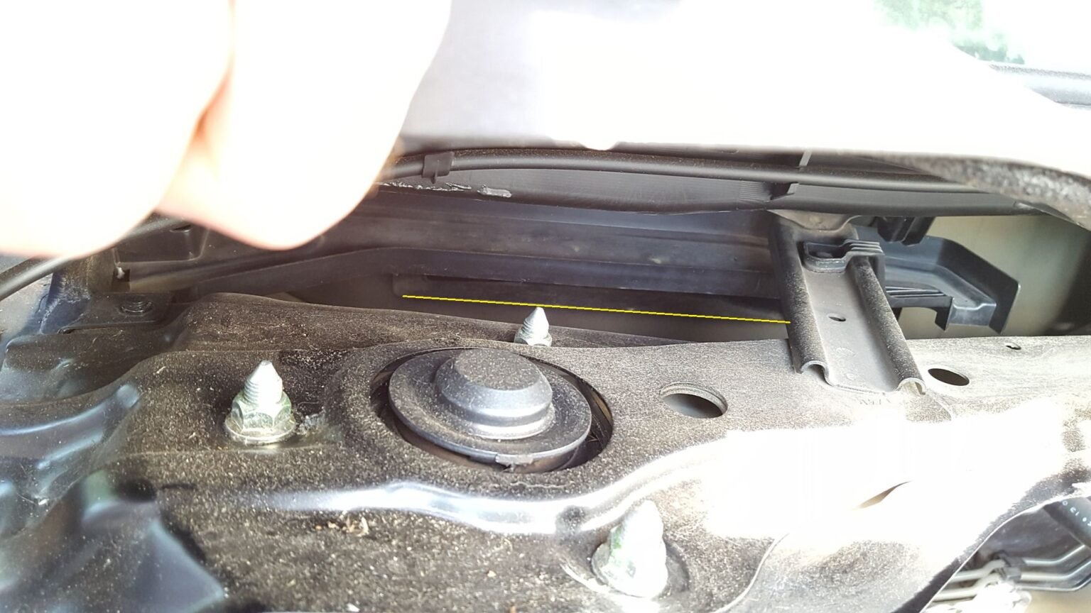 How Do Mice Get into Cabin Air Filter • The Car How