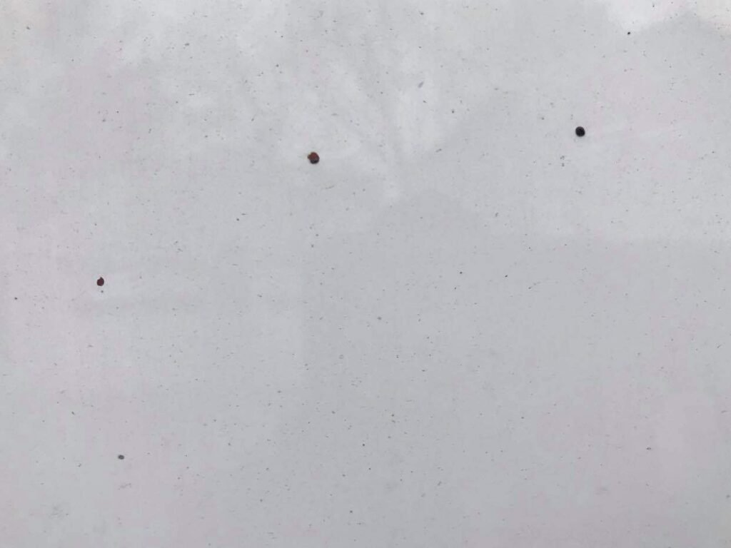 How to Fix P1166 Code • The Car How